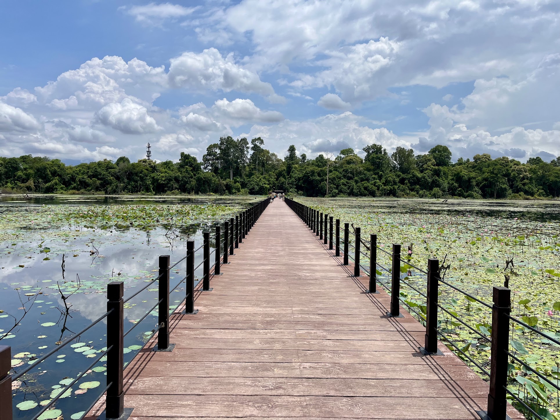Cycling in Siem Reap: Angkor Temples Outer Loop - The Average Cyclist